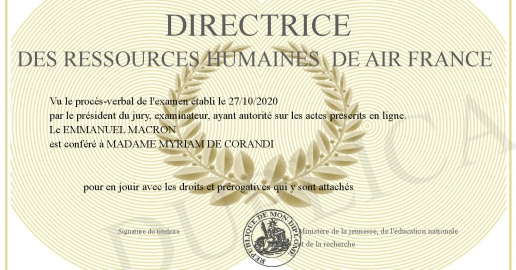 DIRECTRICE DES RESSOURCES HUMAINES DE AIR FRANCE