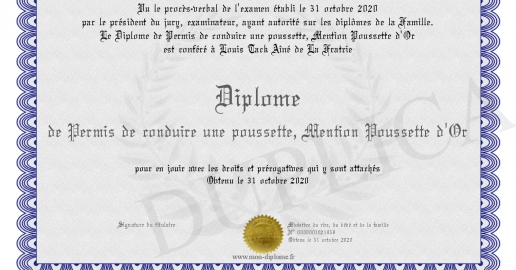 Diplome de Permis de conduire une poussette Mention Poussette d Or
