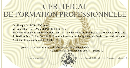 CERTIFICAT DE FORMATION PROFESSIONNELLE