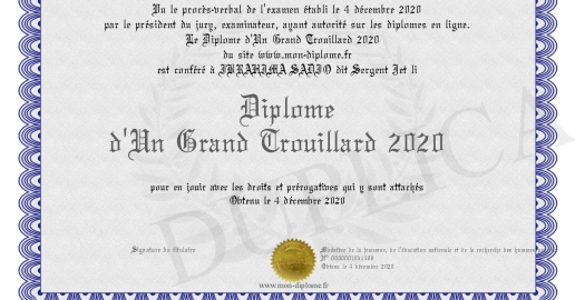 Diplome d Un Grand Trouillard 2020