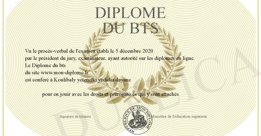 Diplome du bts