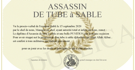assassin de tube a sable