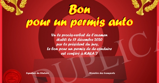 Bon pour un permis auto