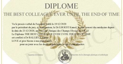 Diplome THE BEST COLLEAGUE EVER UNTIL THE END OF TIME