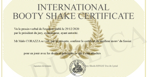 INTERNATIONAL BOOTY SHAKE CERTIFICATE