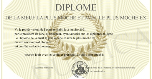 Diplome de la meuf la plus moche et avec le plus moche ex