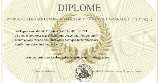 diplome pour avoir fini ses devoirs a temps pas comme une camarade de ...