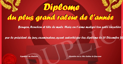 Diplome du plus grand raleur de l annee
