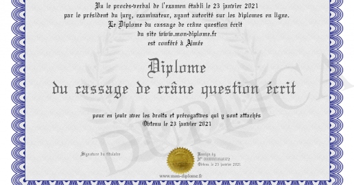 Diplome du cassage de crane question ecrit