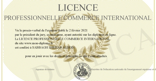 LICENCE PROFESSIONNELLE COMMERCE INTERNATIONAL