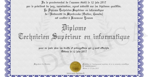 Diplome Technicien Superieur en informatique
