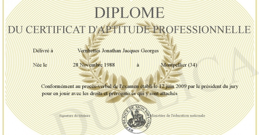 Diplome du certificat d aptitude professionnelle