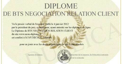 Diplome de BTS NEGOCIATION RELATION CLIENT