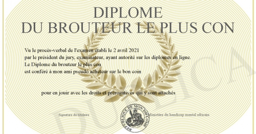 Diplome du brouteur le plus con