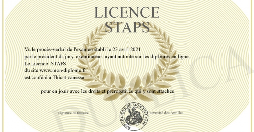 Licence STAPS