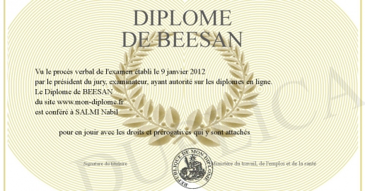 Diplome de BEESAN