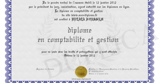diplome en comptabilite et gestion