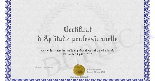 Certificat d Aptitude professionnelle