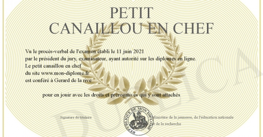 petit canaillou en chef