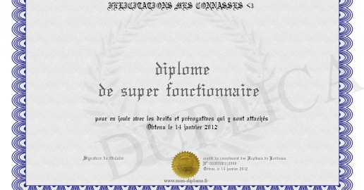 diplome de super fonctionnaire