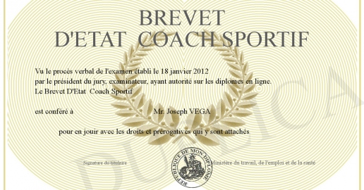 Brevet D Etat Coach Sportif