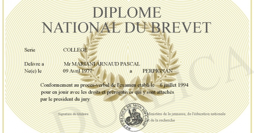 Diplome National Du Brevet