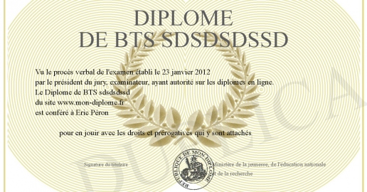 Diplome de BTS sdsdsdssd