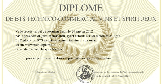 Diplome de BTS technico-commercial vins et spiritueux