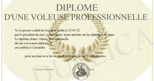 Diplome d une voleuse professionnelle