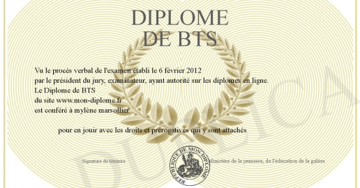 Diplome de BTS