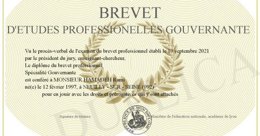 Brevet d etudes professionelles gouvernante
