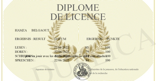 Diplome de licence