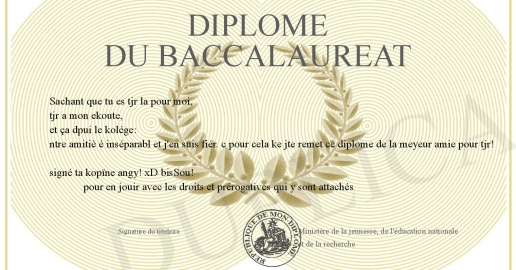 Diplome du baccalaureat