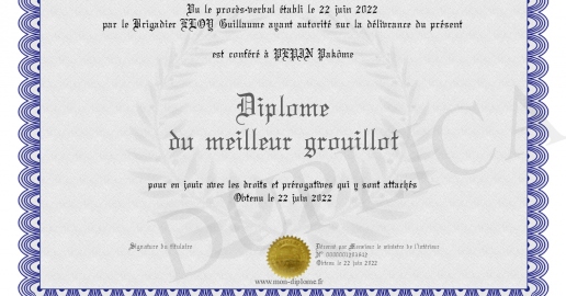 Diplome du meilleur grouillot