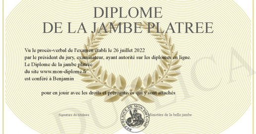 Diplome de la jambe platree