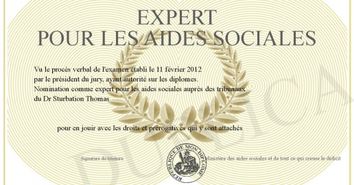 expert pour les aides sociales