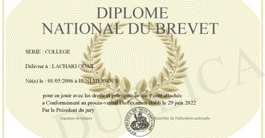 Diplome national du brevet