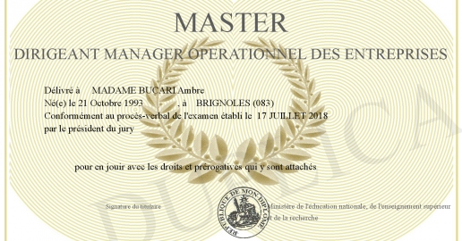 MASTER DIRIGEANT MANAGER OPERATIONNEL DES ENTREPRISES