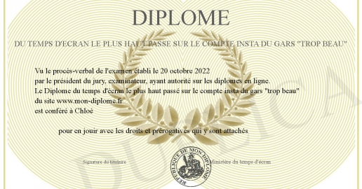 Diplome-du-temps-d-ecran-le-plus-haut-passe-sur-le-compte-insta-du-gars ...