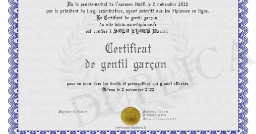 Certificat de gentil garcon