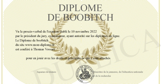 Diplome de boobitch