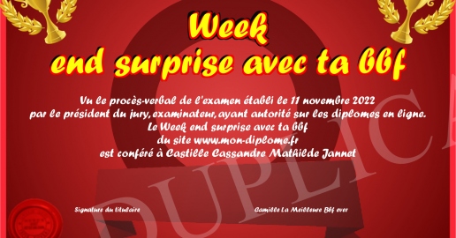 Week end surprise avec ta bbf