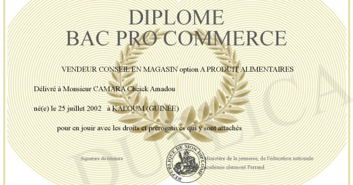 Diplome bac pro commerce
