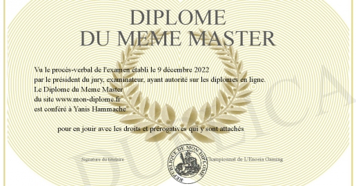 Diplome du Meme Master
