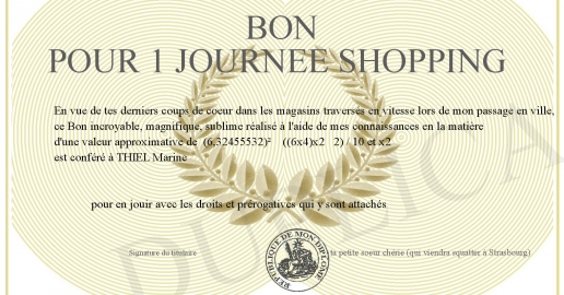 Bon pour 1 journee shopping