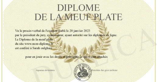Diplome de la meuf plate
