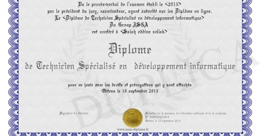 Diplome de Technicien Specialise en developpement informatique