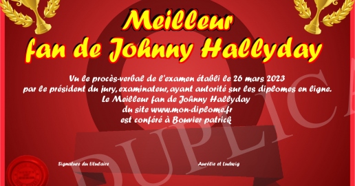 Meilleur fan de Johnny Hallyday