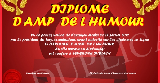 DIPLOME D AMP DE L HUMOUR