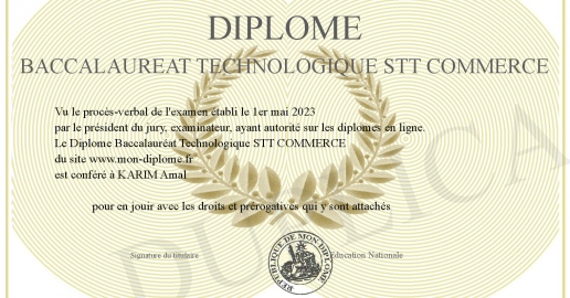 Diplome Baccalaureat Technologique STT COMMERCE